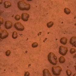 bar-rts.com - urlscan.io